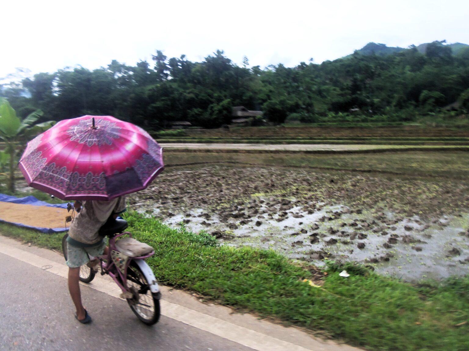 25 Useful Québécois Words And Phrases - A Free Soul Abroad