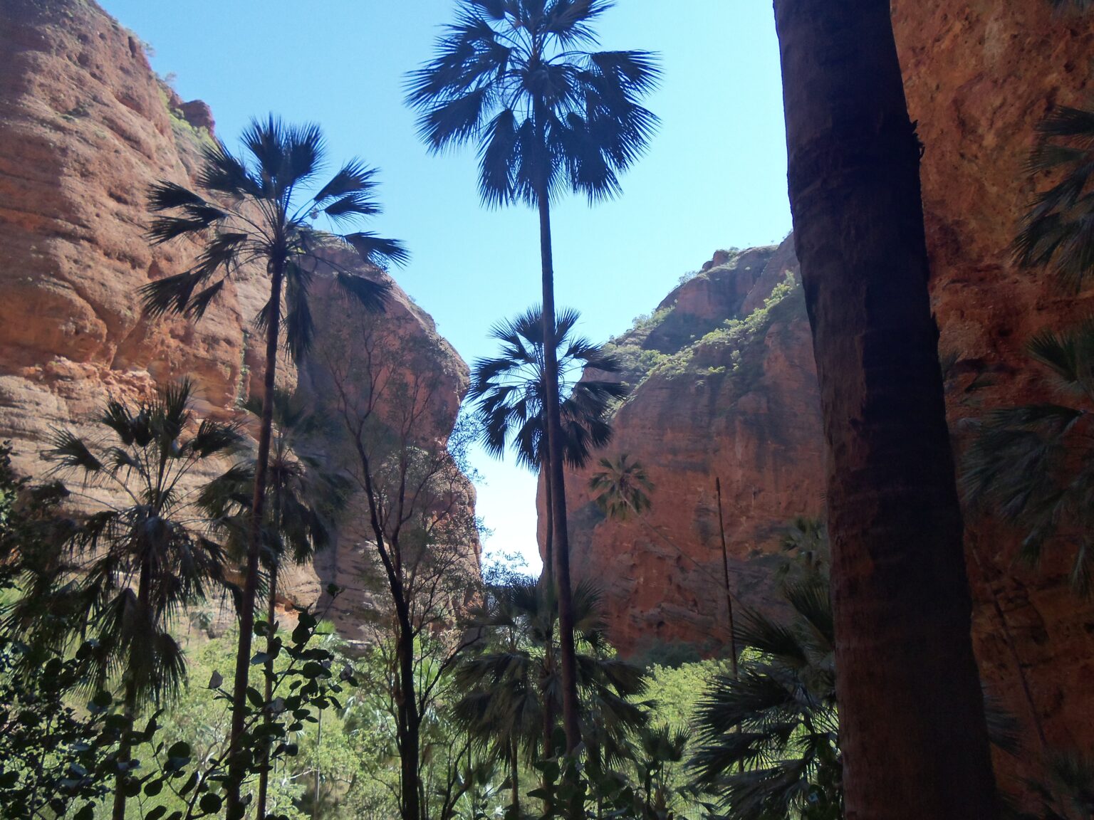 Things You Should Know Before Traveling to Australia - A Free Soul Abroad