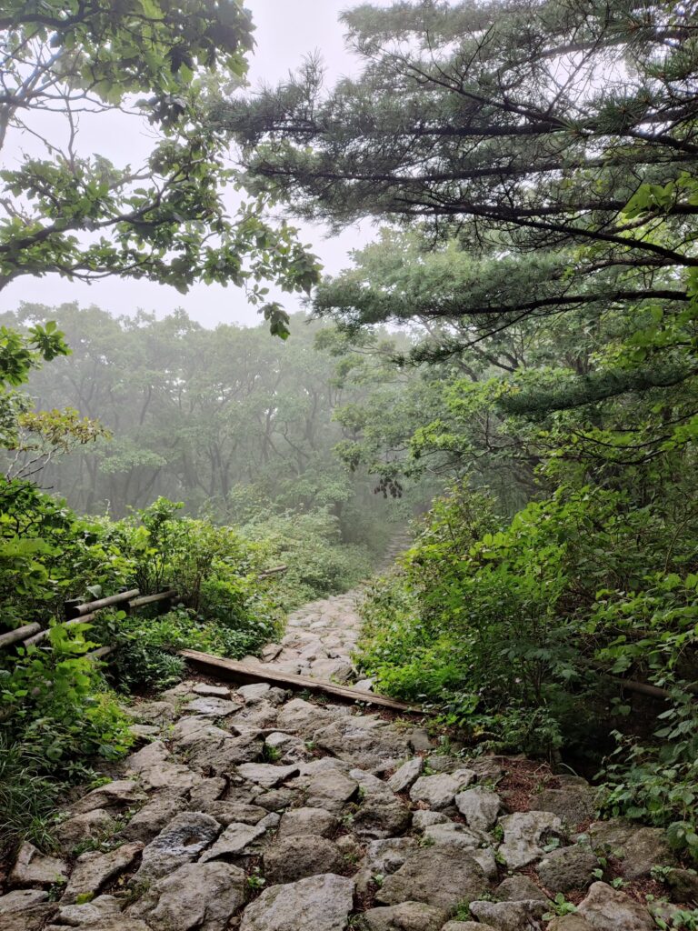 Gurye: A Secret Treasure In The Beautiful Countryside - A Free Soul Abroad