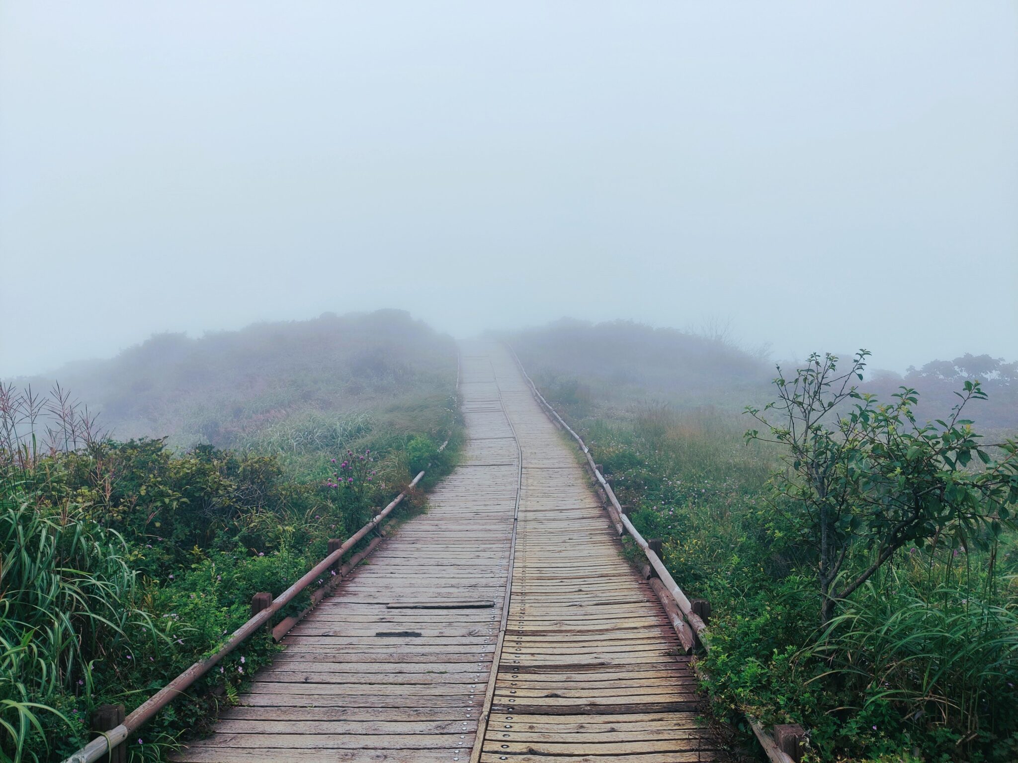 Gurye: A Secret Treasure In The Beautiful Countryside - A Free Soul Abroad
