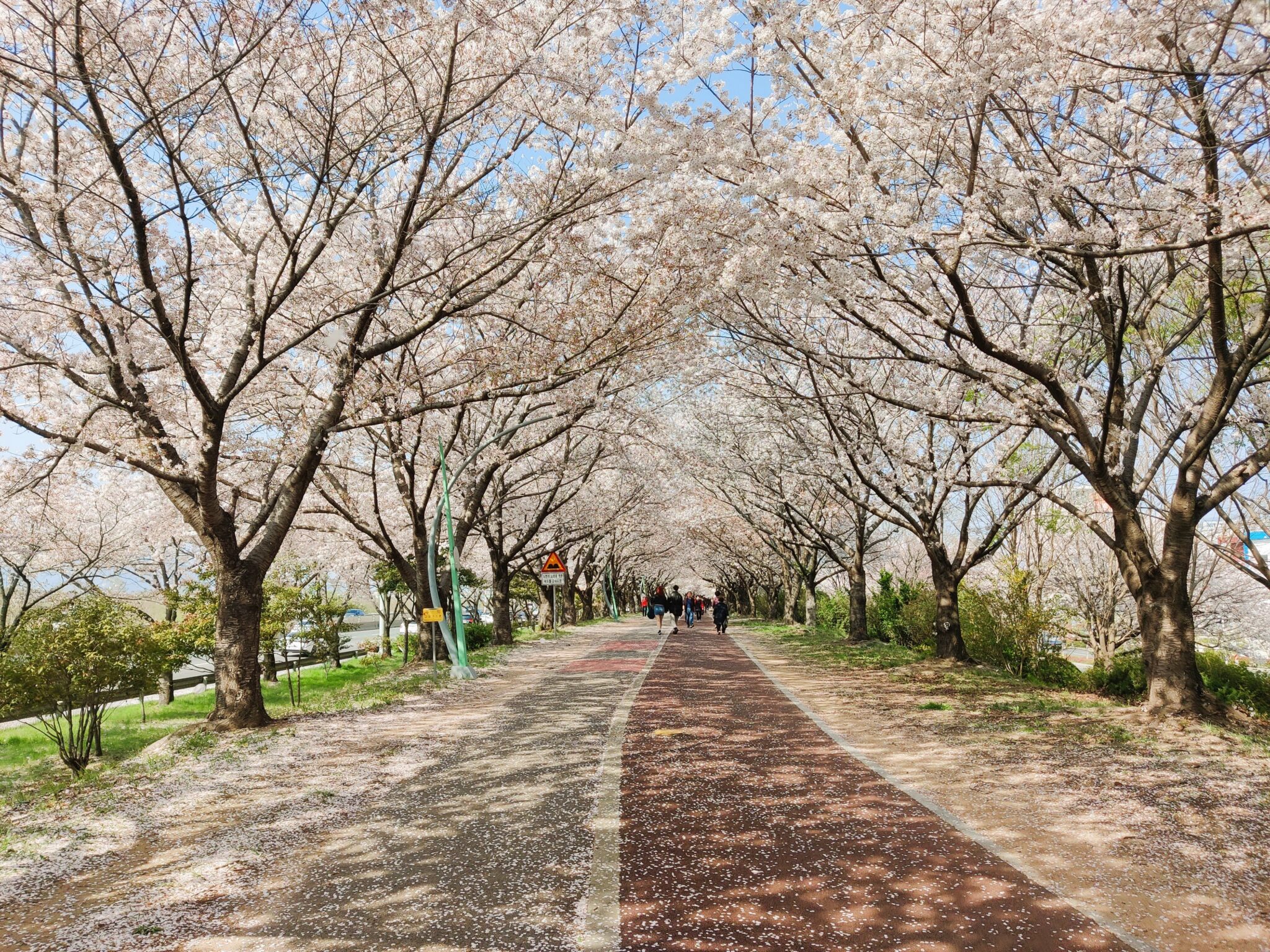 20 Free Things To Do & Hidden Gems In Busan - A Free Soul Abroad