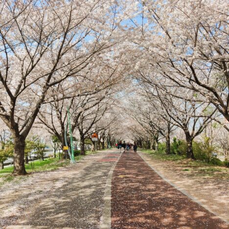 25 Useful Québécois Words And Phrases - A Free Soul Abroad