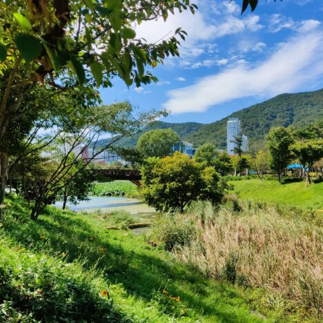 25 Useful Québécois Words And Phrases - A Free Soul Abroad