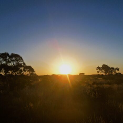 25 Useful Québécois Words And Phrases - A Free Soul Abroad