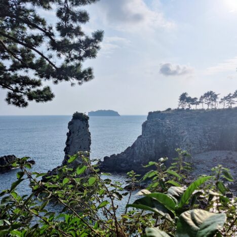 25 Useful Québécois Words And Phrases - A Free Soul Abroad