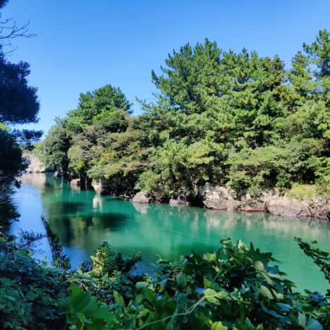 25 Useful Québécois Words And Phrases - A Free Soul Abroad