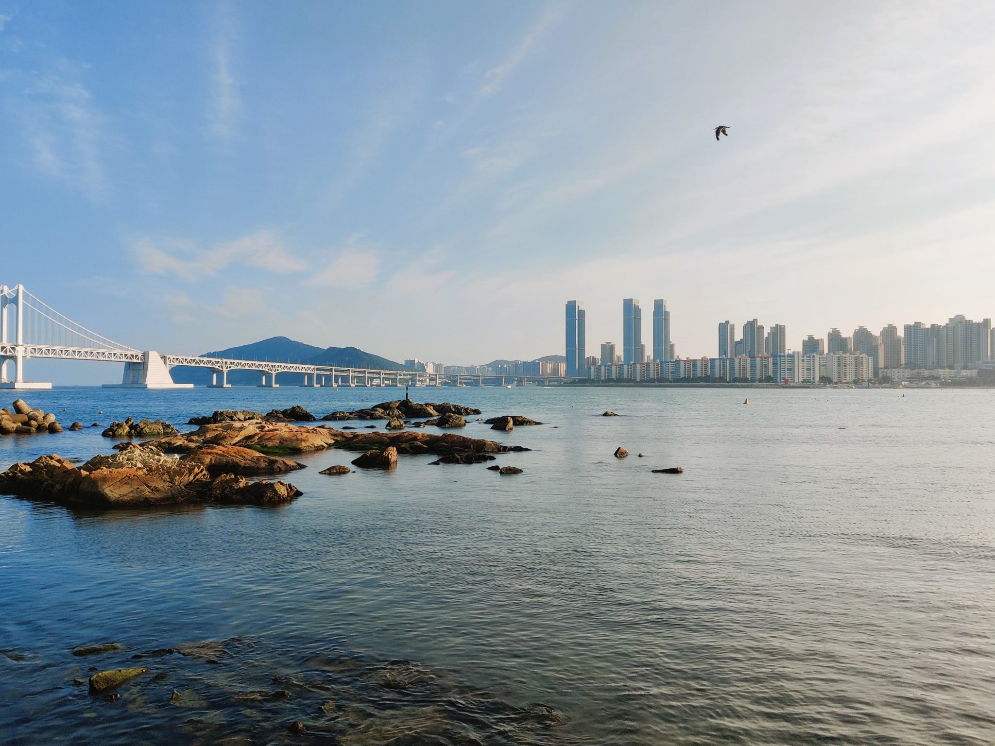 25 Useful Québécois Words And Phrases - A Free Soul Abroad