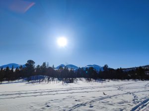 15 Facts You Need To Know About Sweden