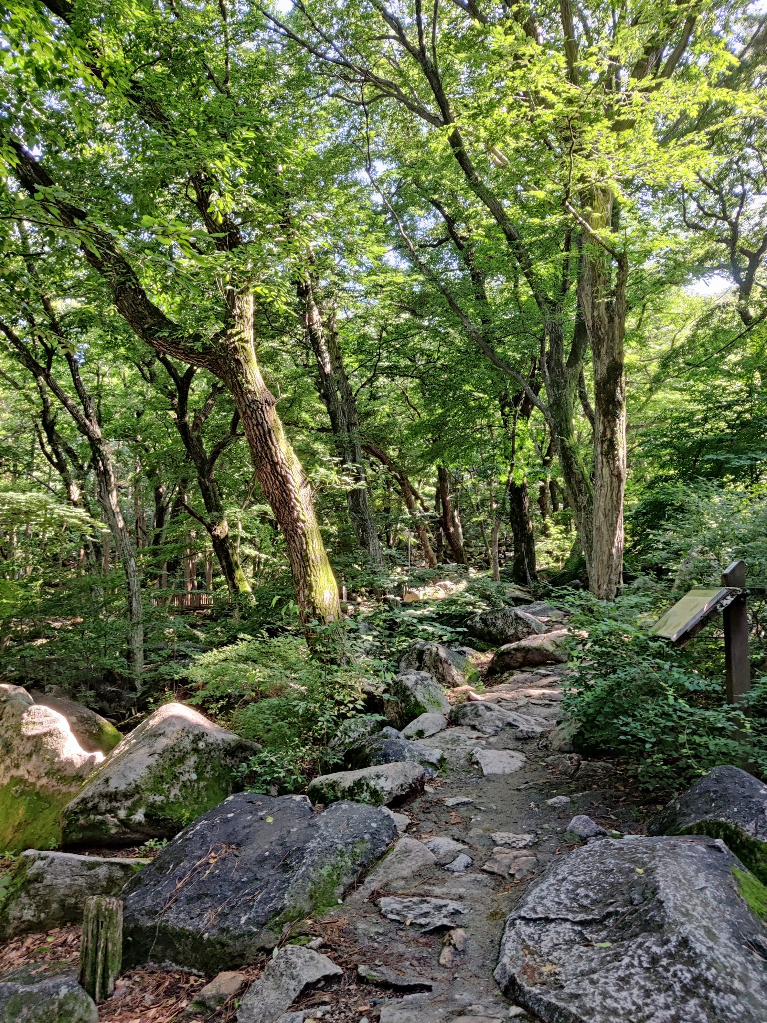 Hiking Geumjeongsan Mountain: One Of The Best Trails In Busan