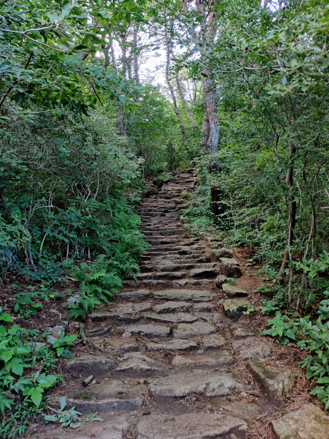Hiking Geumjeongsan Mountain: One Of The Best Trails In Busan
