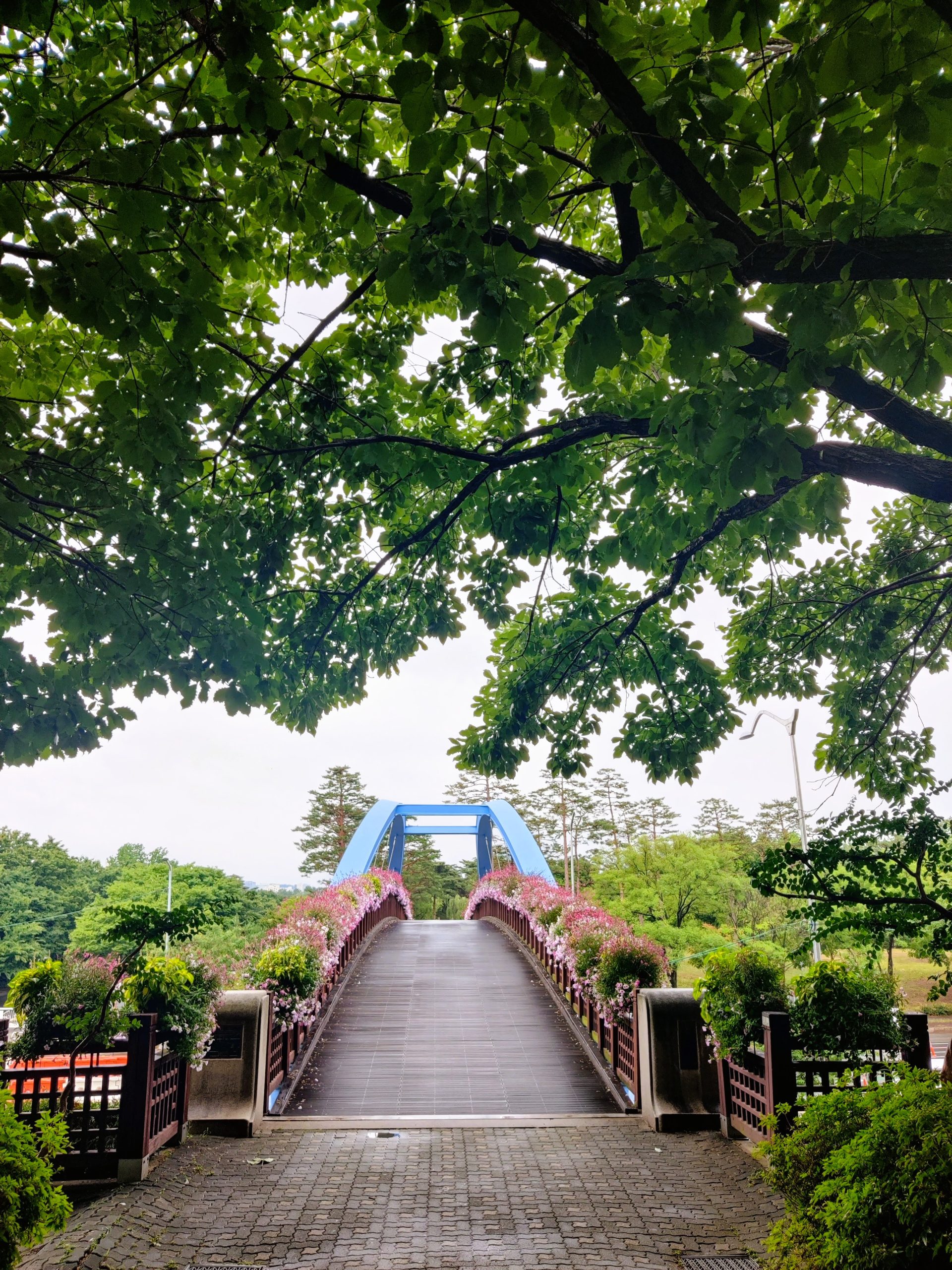 Haneul Park: A Little Piece Of Heaven In Bustling Seoul
