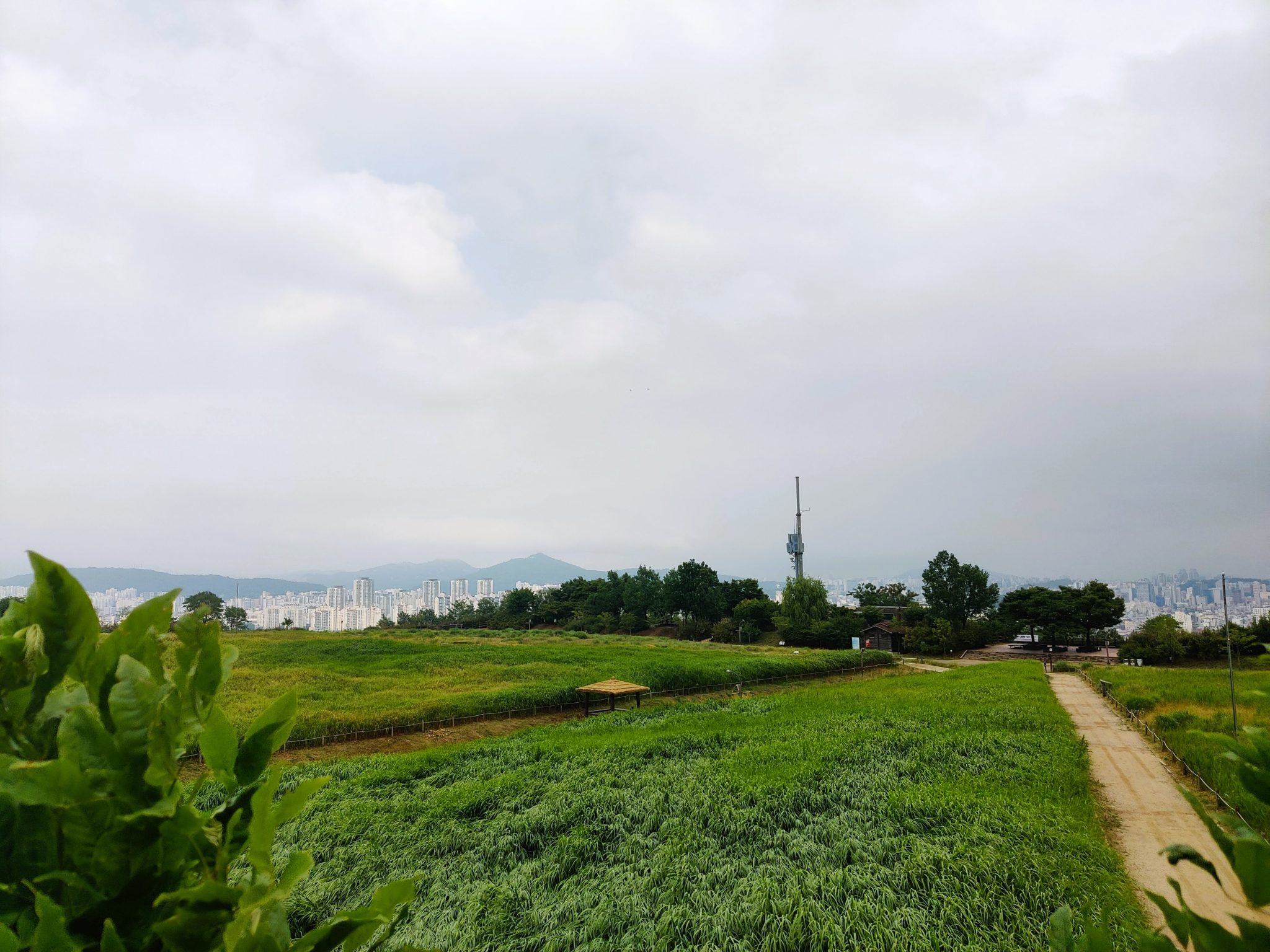 Haneul Park: A Little Piece Of Heaven In Bustling Seoul