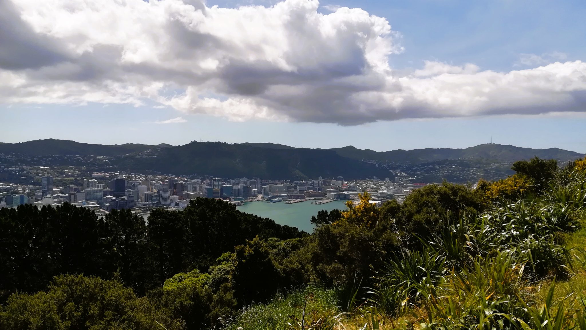 30 New Zealand Slang Words You Need to Know - A Free Soul Abroad
