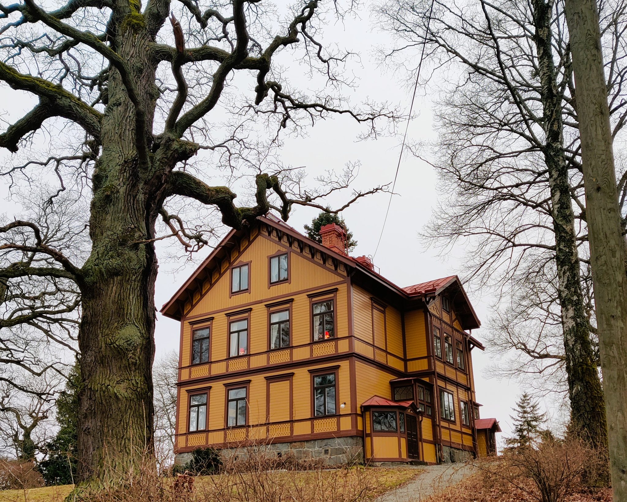 Visit Brunnsviken: Or How To Escape The City And Enjoy Nature Just ...