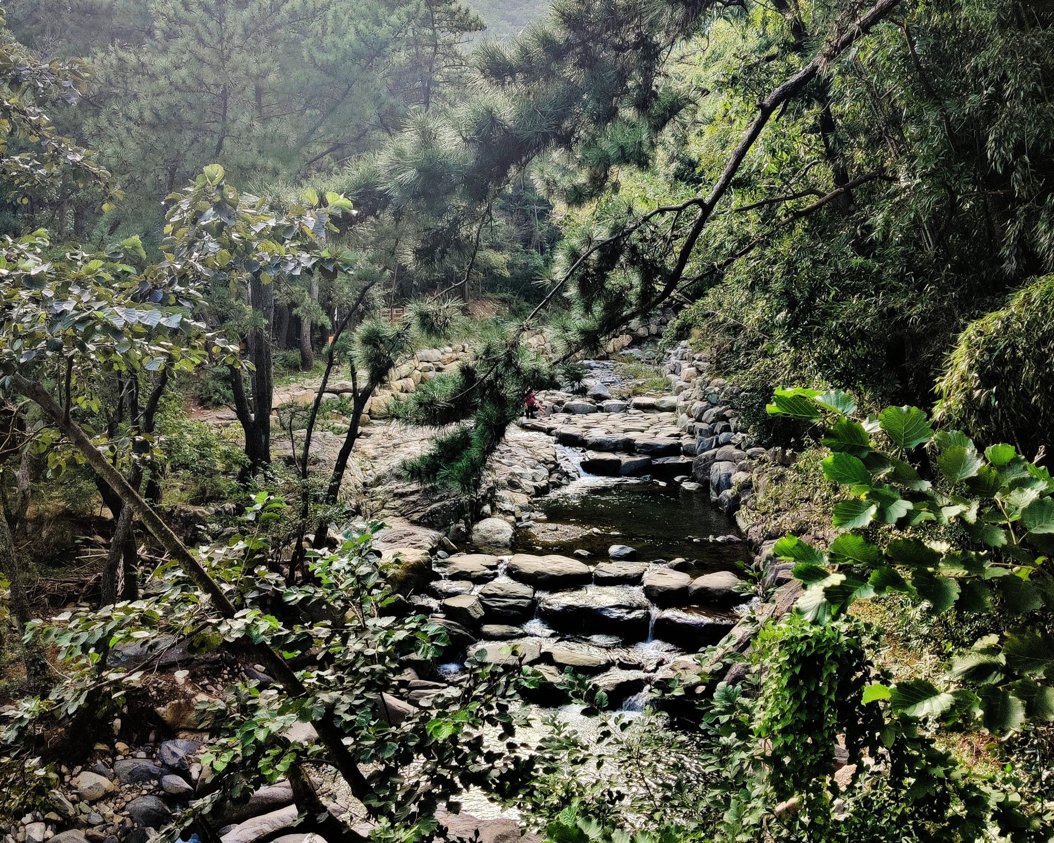 Hiking Jangsan: Guide To One Of The Most Beautiful Panoramic Views In ...