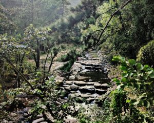 Hiking Jangsan: Guide To One Of The Most Beautiful Panoramic Views In ...